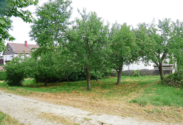 Die Braike bekommt einen neuen Spielplatz - Nürtingen - Nürtinger ...