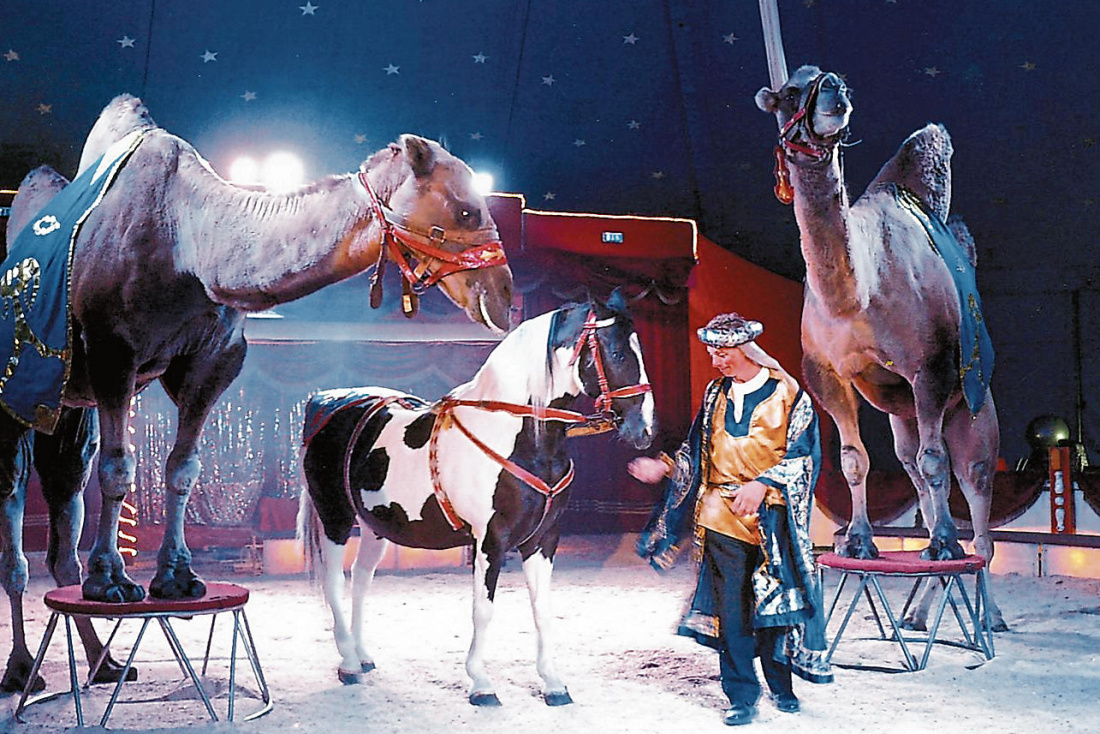 Circus Baruk feiert heute seine Premiere in Nürtingen - Nürtingen ...