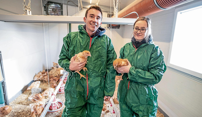 Studenten der Nürtinger Hochschule arbeiten an mehr Tierwohl für ...