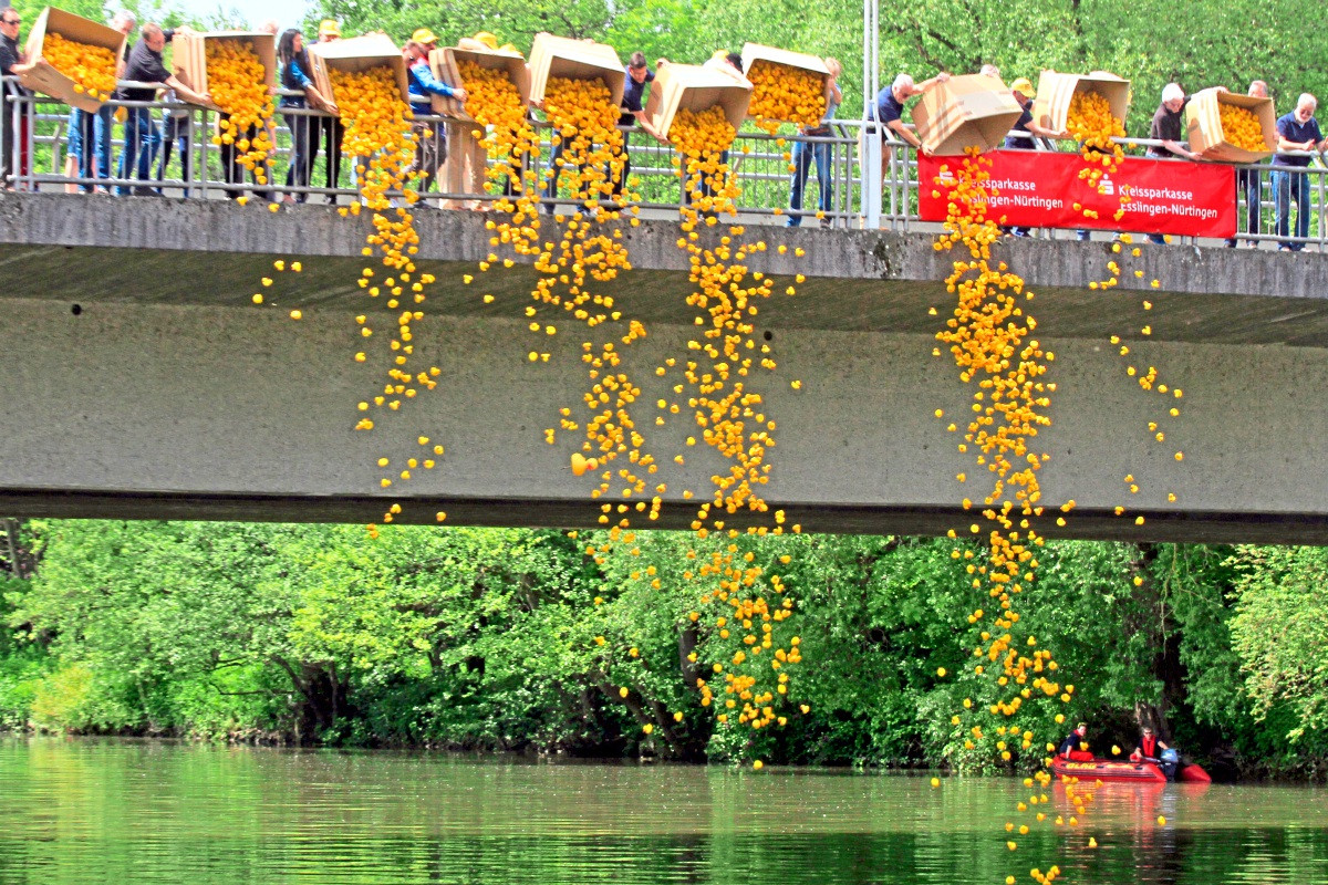 Entenrennen am Samstag in Nürtingen: Hier gibt es noch Lose zu kaufen ...