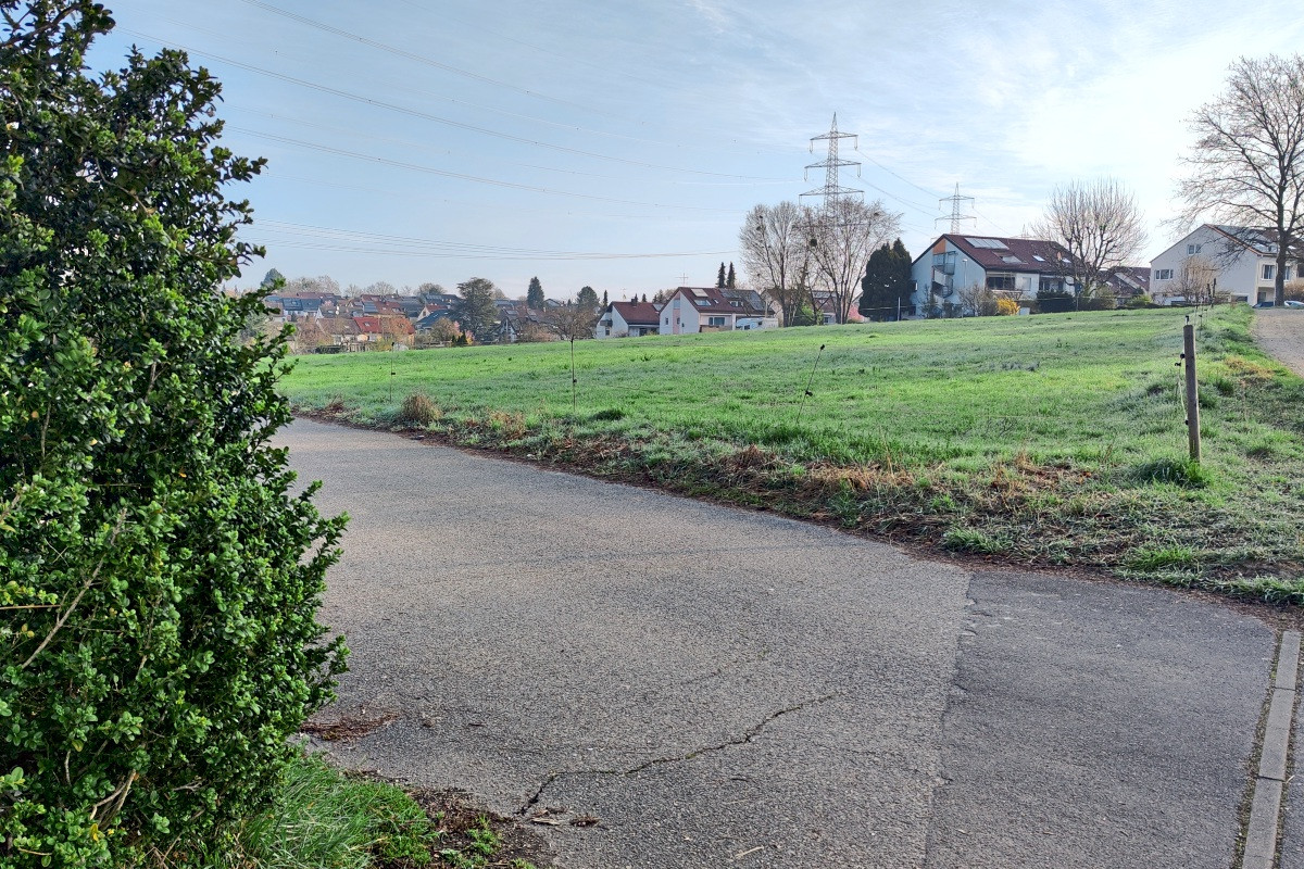 Baugebiet in der Braike in Nürtingen: Ja zu 184 neuen Wohnungen ...