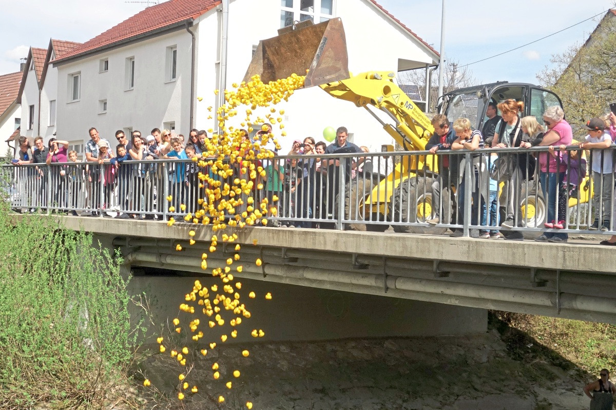 Neuauflage für das Wendlinger Entenrennen 2024 - Wendlingen - Nürtinger ...
