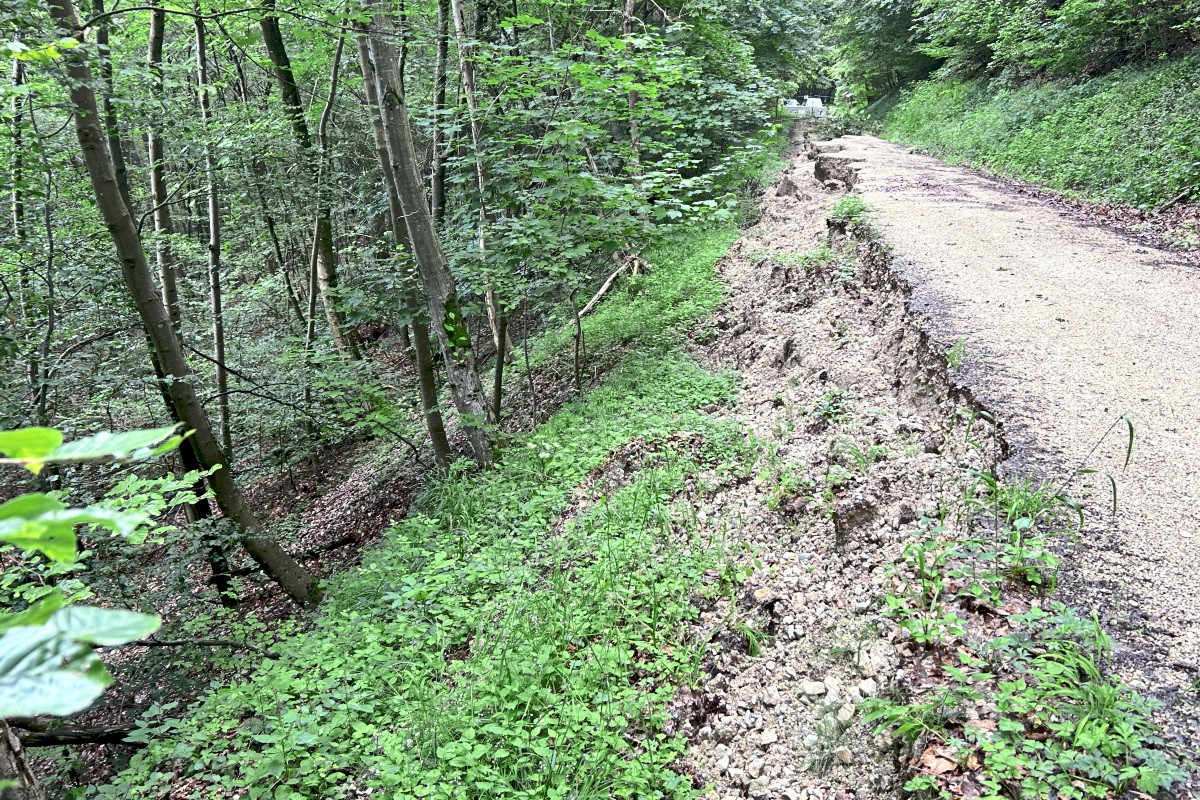 Sanierung Philosophenweg in Beuren: Suche nach einer günstigeren Lösung ...
