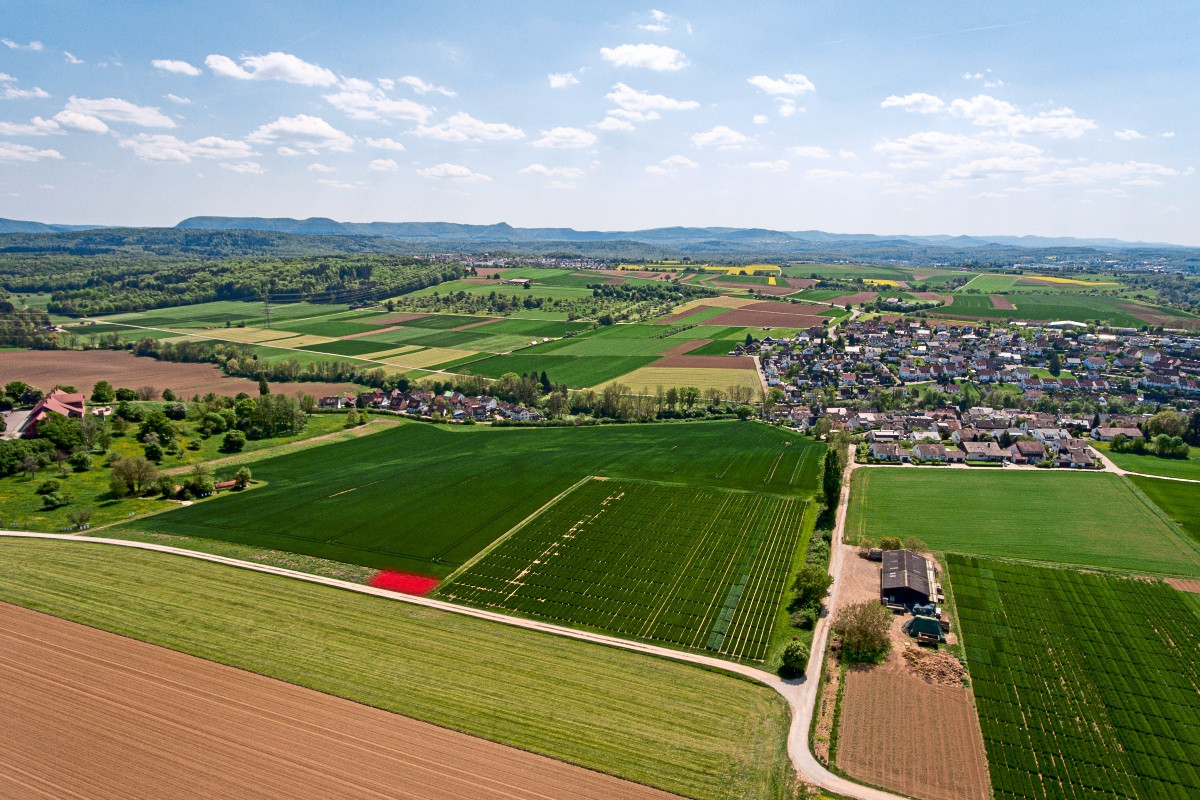So wird der Turm am Oberboihinger Rundweg heißen - Oberboihingen ...